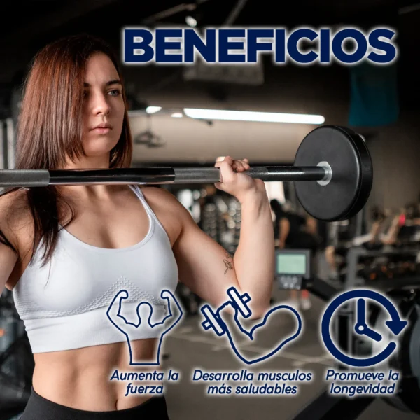 Proteina Whey Sabor Vainilla 453Gr Val - Farmadon - La Farmacia de la ...